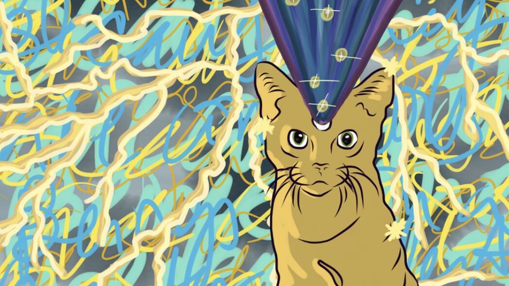 Sociology Adjunct Professor, Giana Cicchelli, creates NFTs with written ...