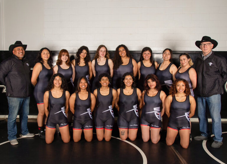 Women's wrestling is now a sanctioned sport; here's what changed - el ...